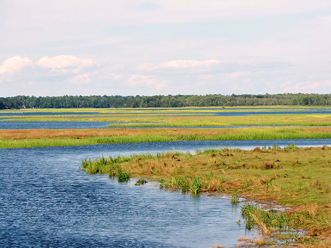 Daytime at Scarboro Marshes: A patchwork quilt of blues and greens. It's like Mother Nature decided to play Tetris with water and grass.