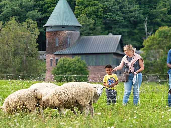 Explore Shelburne Farms, where families can enjoy hands-on experiences with animals and stunning countryside views!