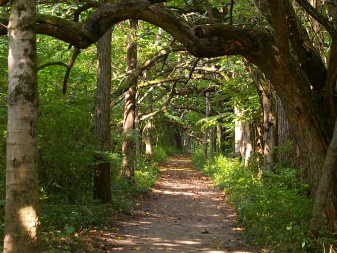 Who needs yellow brick roads? This green archway is Oz-some, leading to wonders beyond your wildest dreams.
