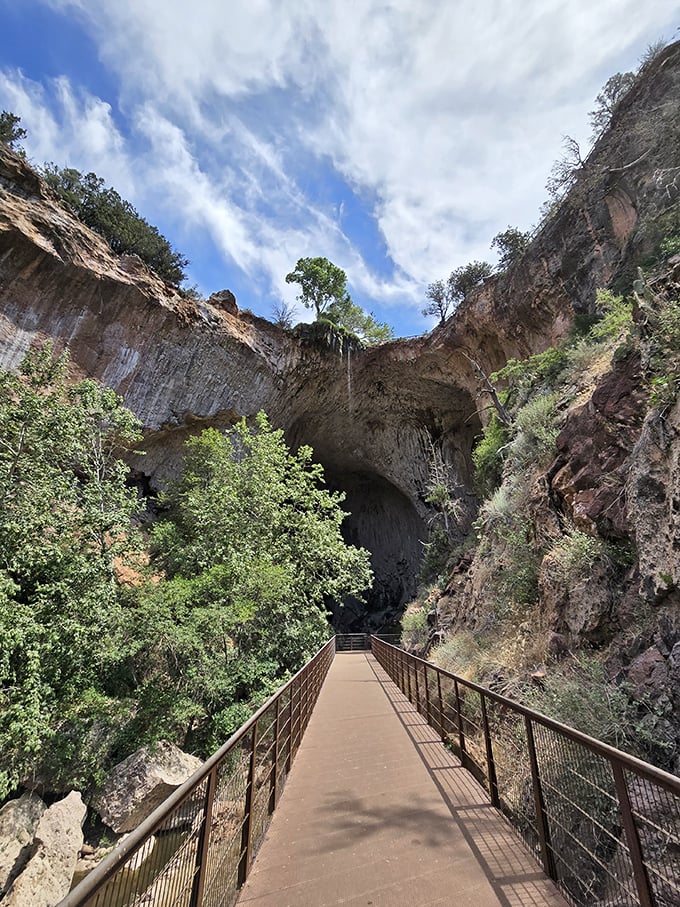 Talk about a rock-solid foundation! This natural bridge is Mother Nature's way of saying, "Look what I can do!"