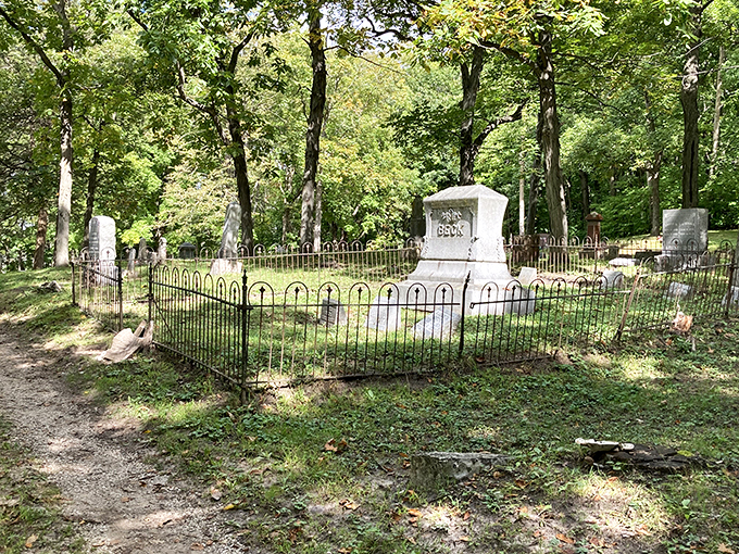 Quiet whispers of the past. This tranquil grove feels like stepping into a sepia-toned photograph, where time slows and stories linger in the air.