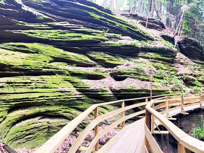 Mother Nature's sculpture garden. These layered rock walls are like geological lasagna, with a side of lush green moss.