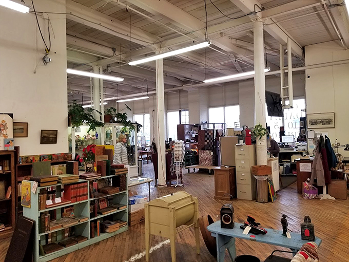Sunlight streams through towering windows, illuminating endless rows of curiosities. Those support beams have witnessed more history than a Ken Burns documentary.
