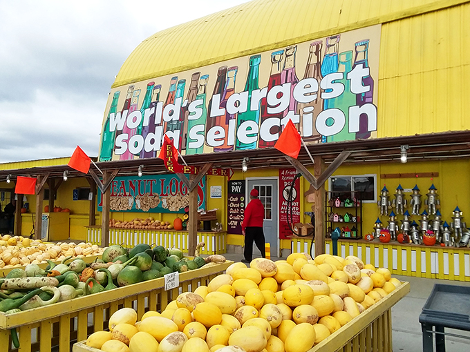 Who knew produce could be this exciting? It's like a farmers market threw a party and invited candy to be the guest of honor.