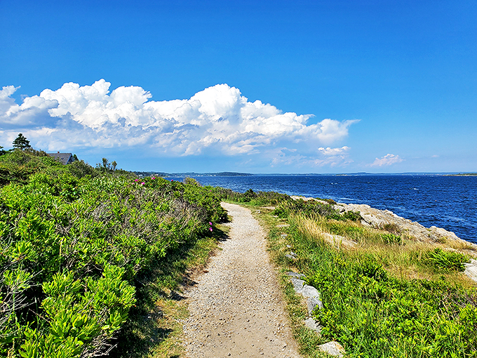 "Follow the yellow brick road"? More like "follow the dirt path to paradise." This trail promises views that'll make your Instagram followers green with envy.