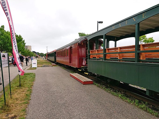 Step right up, folks! This colorful carriage isn't just a pretty face - it's your ticket to a scenic adventure along Portland's picturesque coastline.
