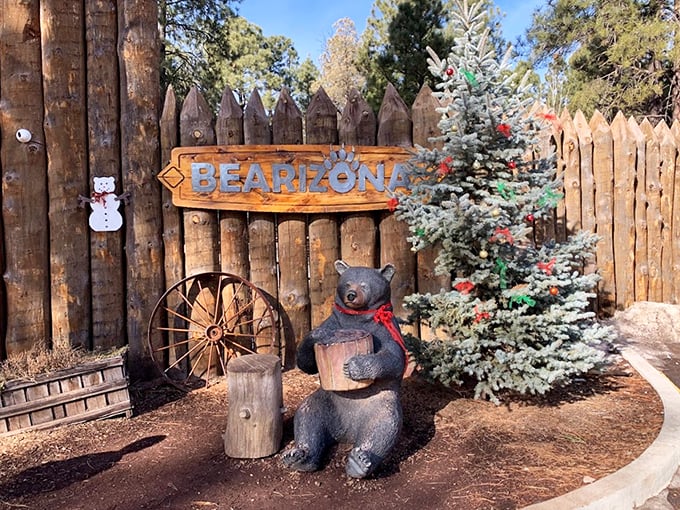 Ho ho ho, it's a bear-y Christmas! This festive scene proves even wildlife parks can't resist the holiday spirit.