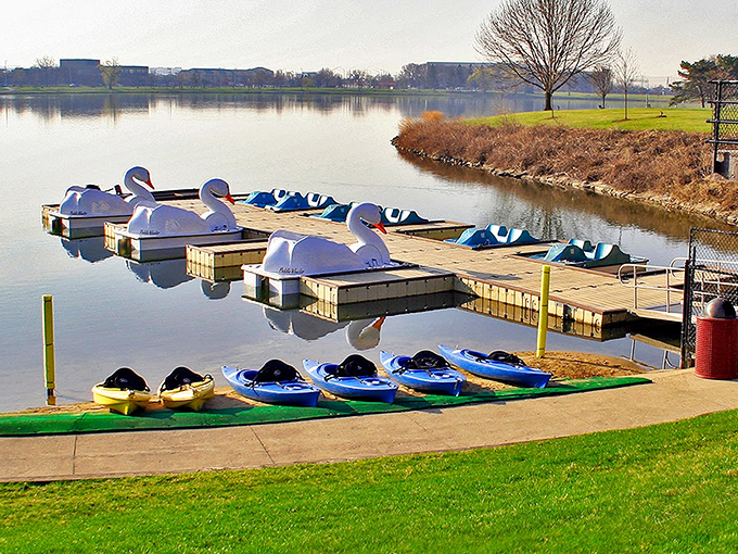 Swan boats and kayaks line up like eager performers waiting for their cue, ready to help visitors explore Lake Opeka's waters.