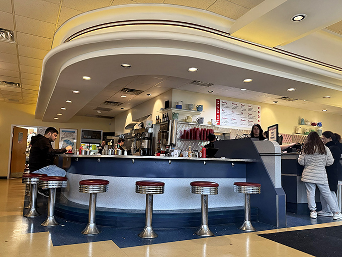 Welcome to the land of endless coffee and timeless conversations. This counter has heard more stories than a librarian on a busy day.