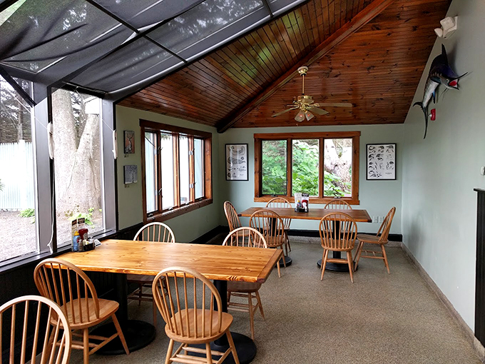 Warm wooden ceilings and Windsor chairs create a cozy dining nook where sunlight streams through windows overlooking Maine's natural beauty. Photo credit: Charles B. Hamlyn
