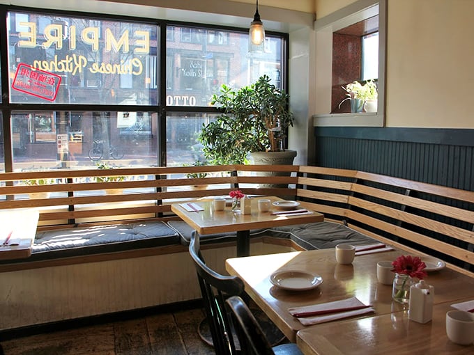 Sunlight streams through large windows onto cozy wooden benches, creating the perfect spot for dim sum discoveries.