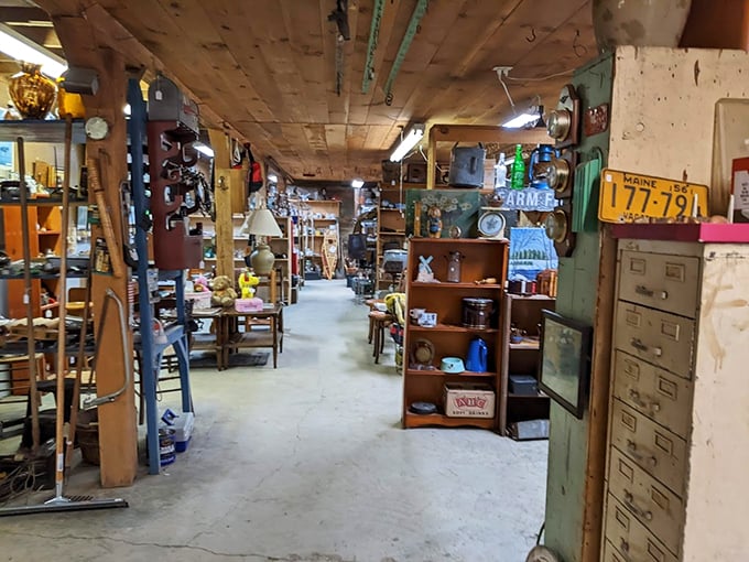 Aisles of memories stretch into the distance, where vintage treasures wait patiently on wooden shelves for their next adventure.