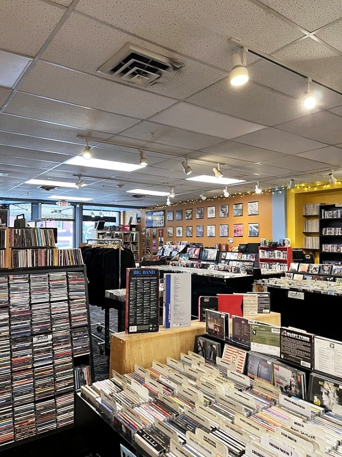 Vinyl paradise or organized chaos? This treasure trove of tunes invites you to lose yourself in a sea of musical possibilities.