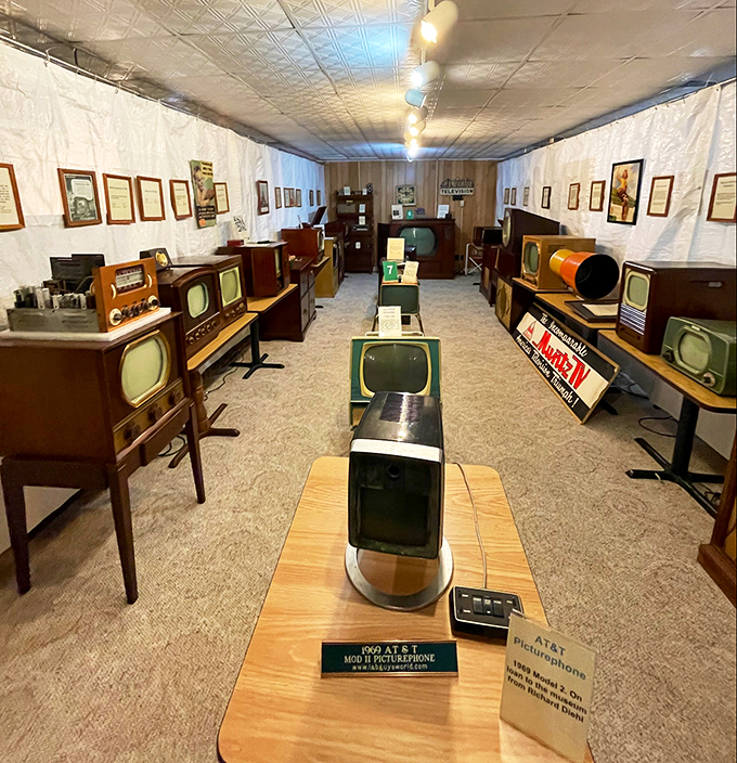 Meet TV's original good boy! This RCA Victor dog statue is ready to hear his master's voice &ndash; or maybe just catch some classic reruns.