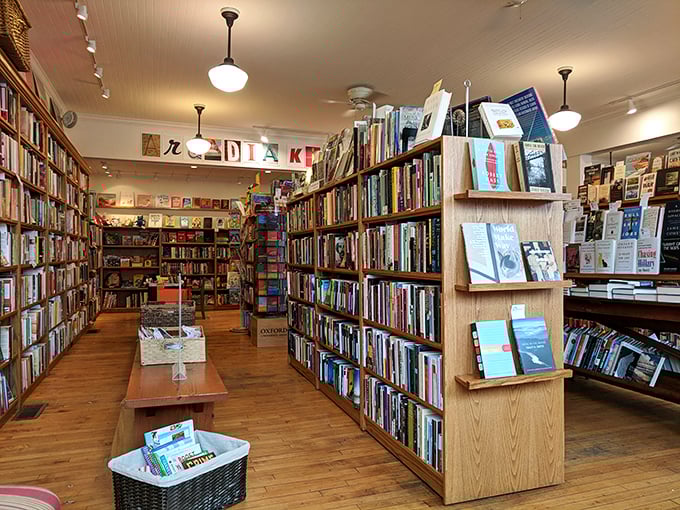 Welcome to book heaven! Arcadia's interior is a labyrinth of literary delights, where every turn reveals another shelf of potential adventures. It's like Narnia, but with better lighting and no talking lions.