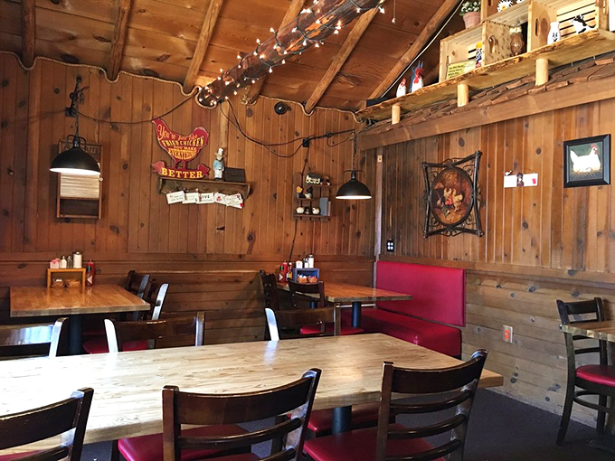 Step inside and let the warmth wash over you. With twinkling lights and wood-paneled walls, it's like dining in your coolest friend's treehouse.
