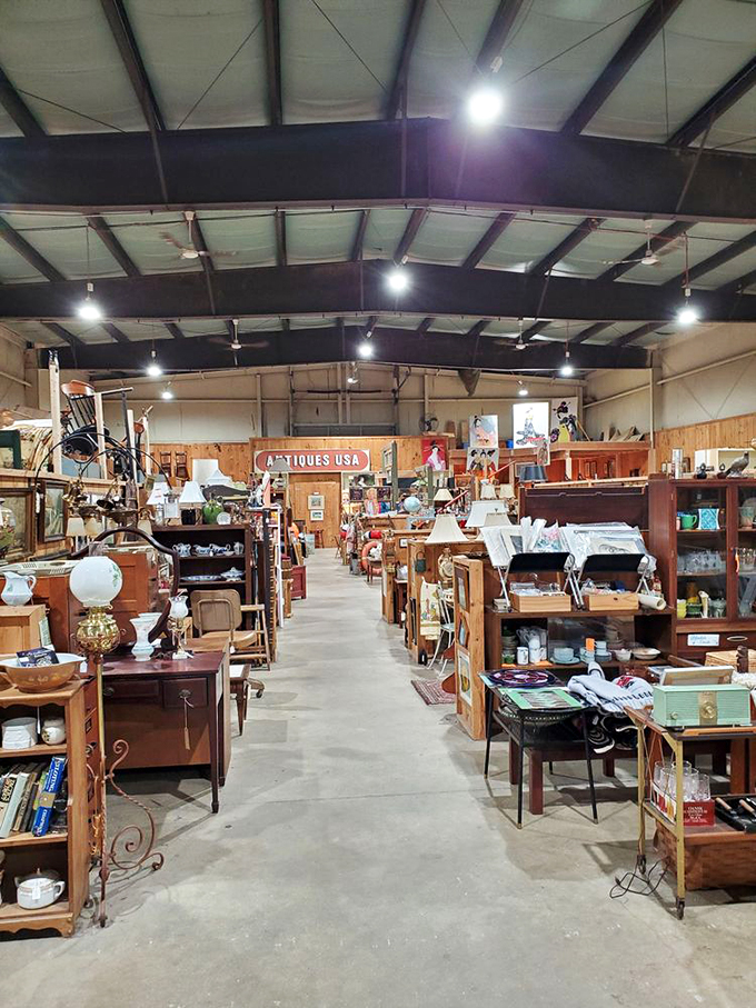Rows of wooden shelves stretch into infinity, each aisle a new chapter in America's story of design and daily life.