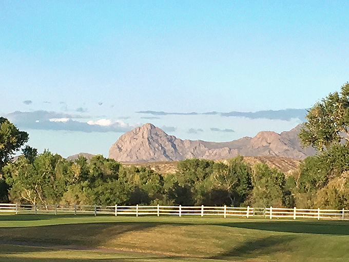 Who says you can't have mountains and meadows? Tubac's landscape is Mother Nature's way of proving she can do it all in one breathtaking vista. 