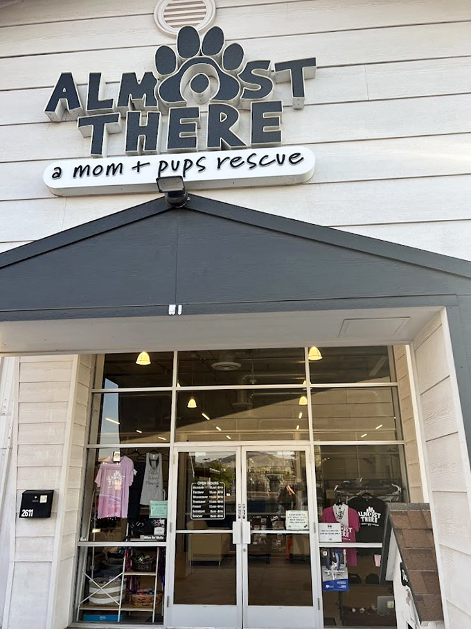 Simple white siding houses extraordinary hearts. Almost There's storefront promises more than just retail - it's a gateway to tail-wagging joy.