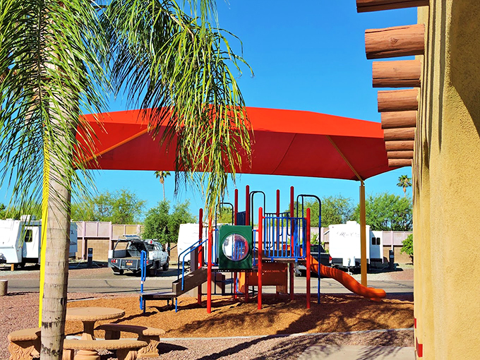 Who says playgrounds are just for kids? This colorful oasis is where adults rediscover their inner child, surrounded by palm trees and RVs. Photo credit: Tucson / Lazydays KOA Resort