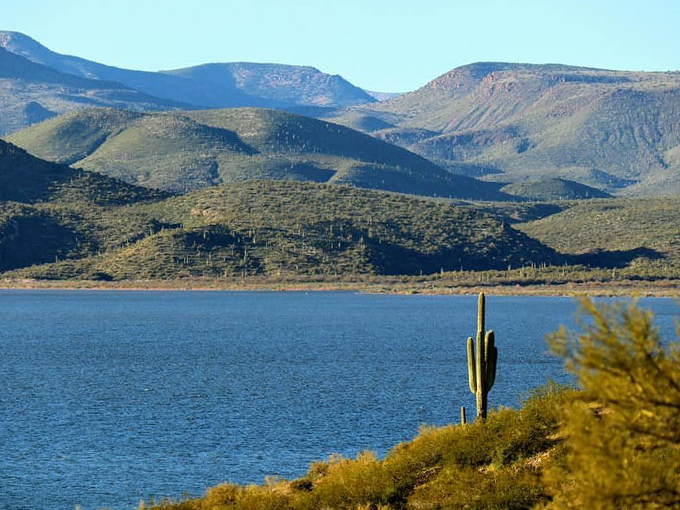 Desert meets oasis in a scene straight out of a nature documentary. That lone saguaro? It's the unofficial lifeguard of Roosevelt Lake. Photo credit: KodoDrummer