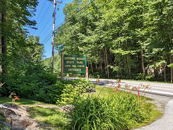 Welcome to Gifford Woods, where adventure begins! This entrance sign promises camping, hiking, and picnicking - the holy trinity of outdoor fun.