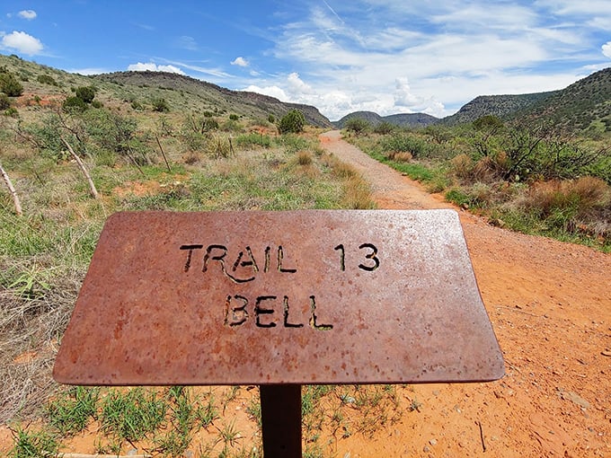 Trail 13 Bell - where the wilderness meets wayfinding. This humble marker points the way to extraordinary adventures ahead.