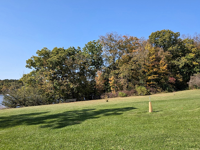 Autumn in Vermont: where the trees put on a show that rivals Broadway, and the grass is still greener than your neighbor's lawn.