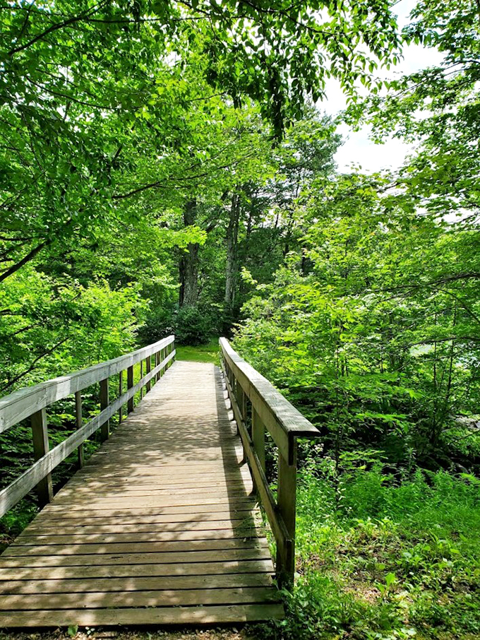 This wooden bridge isn't just a path - it's your gateway to adventure, surrounded by Vermont's emerald cathedral of leaves.