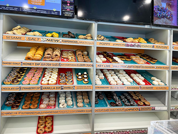 Behold, the wall of temptation! This donut case is where willpower comes to die and happiness is born. It's a rainbow of possibilities, each more enticing than the last.