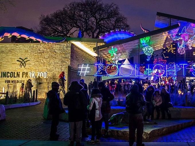 Welcome to the North Pole's Midwest branch office! ZooLights turns Lincoln Park Zoo into a festive beacon that outshines Clark Griswold's wildest dreams.