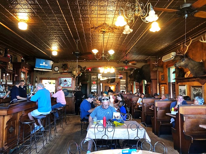 Welcome to the coziest museum you'll ever drink in! Sleder's interior is a treasure trove of memories, mounted heads, and mouthwatering aromas.