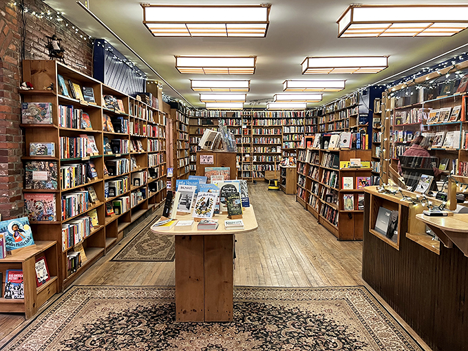 Step inside and prepare for a literary adventure! Floor-to-ceiling shelves create a labyrinth of literary wonders, inviting you to get lost in stories.