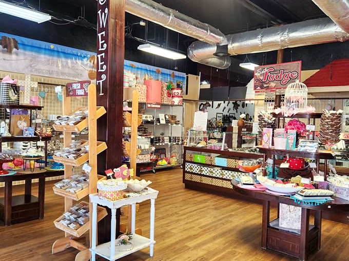 Step into a kaleidoscope of confectionery delights! This candy cornucopia would make even Mary Poppins forget about that spoonful of sugar.