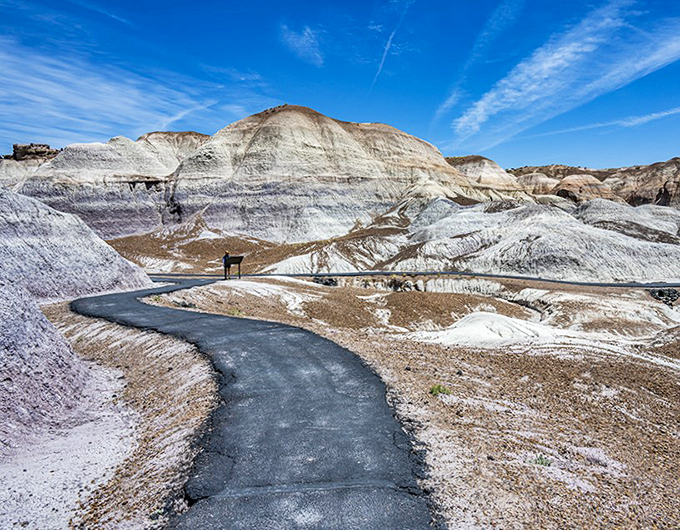 Follow the yellow brick road? Nah, this winding path through the badlands is way cooler. Indiana Jones would be jealous!