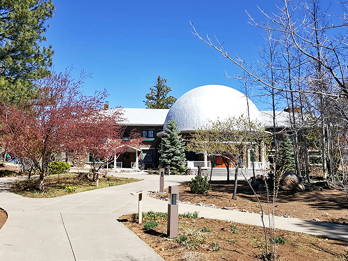 Stargazers, rejoice! Lowell Observatory's telescopes are your ticket to the cosmos. It's like IMAX for the universe, minus the overpriced popcorn.