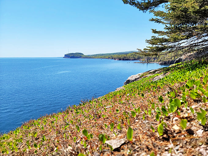 Rugged cliffs and azure waters create a view that's pure Minnesota magic.