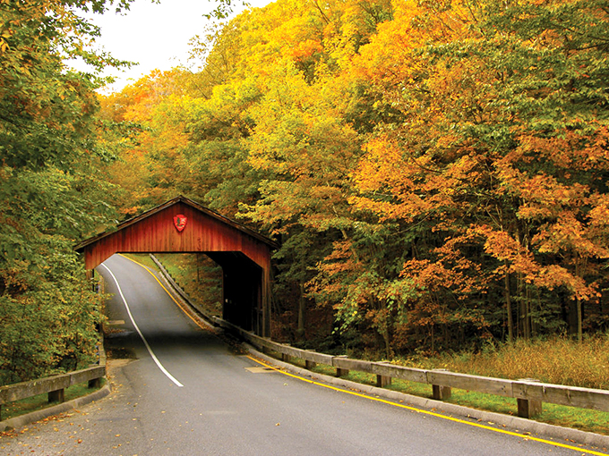 Mother Nature's greatest hits album! From forests to dunes, it's Pure Michigan bingo in 7.4 miles. Photo credit: Traverse City Tourism