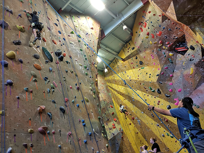 "Reach for the stars... or at least that tricky purple hold! These walls are more colorful than a bag of Skittles." Photo credit: Alexander Counterman