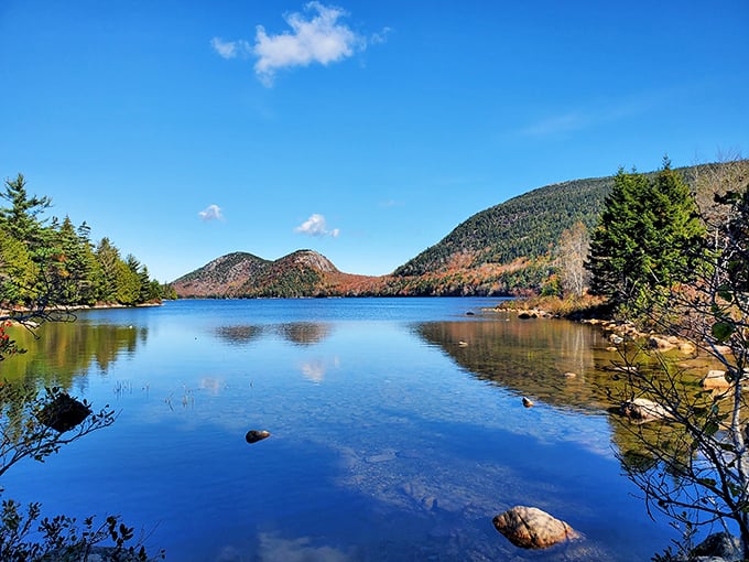 Acadia's rocky coastline: Where the ocean meets its match. It's like watching a millennia-old arm-wrestling contest between land and sea.