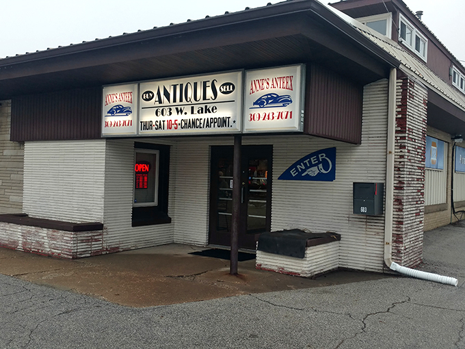 Anne's Anteex: No anteaters, just antiques! This unassuming storefront is like your eccentric aunt's attic, if your aunt collected decades instead of doilies.