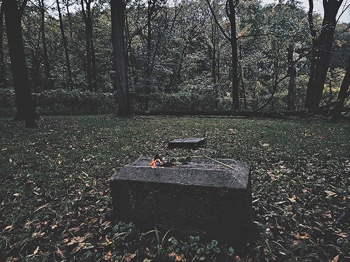 Nature's reclaiming this spooky spot faster than teenagers ghost their dates. Indiana Jones would feel right at home!