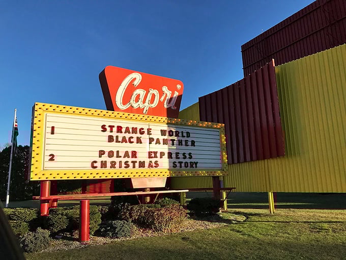 Neon dreams come alive at the Capri! This sign could guide lost astronauts back to Earth &ndash; and to some fantastic family entertainment. Photo credit: Patrick James