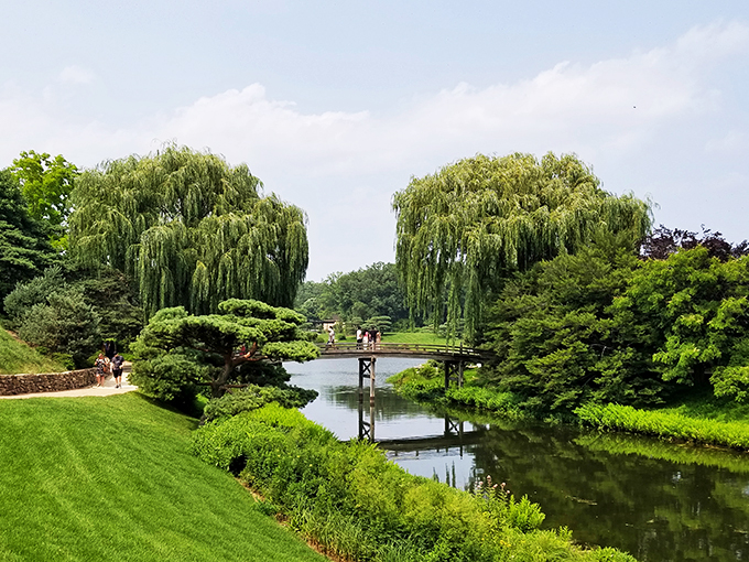 Bridging tranquility: Chicago Botanic Garden's wooden walkway invites you to cross into a world of Zen-like serenity.