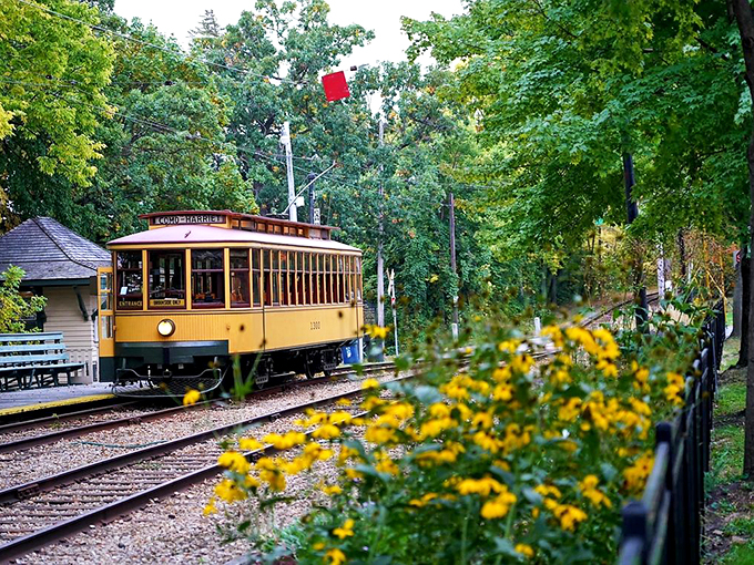 All aboard the nostalgia express! These restored streetcars are like stepping into a black-and-white movie, but in full color. Photo credit: Steven Mosborg