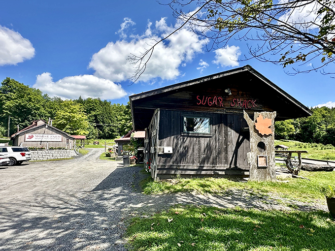 Morse Farm's rustic charm hits you like a delicious wave of nostalgia, complete with a side of maple creemee.