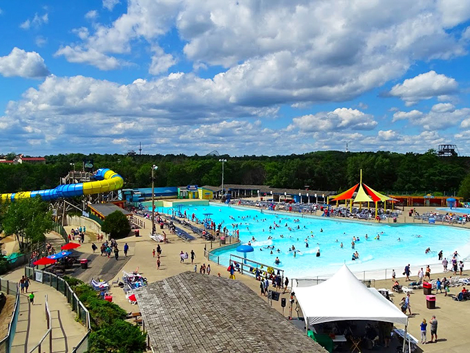 Welcome to water slide heaven! Noah clearly had a wild imagination when designing this aquatic playground. Photo credit: FlowRider INC