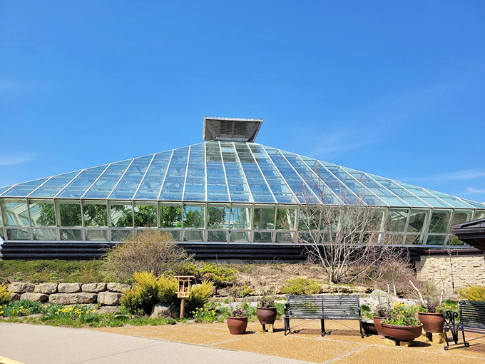 Nature's crystal palace! This glass pyramid looks like it could house an intergalactic plant species or a really ambitious terrarium project.