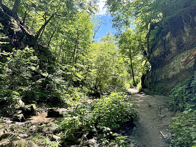 Wisconsin's first State Natural Area welcomes visitors with a pristine stream cutting through prehistoric rock formations.
