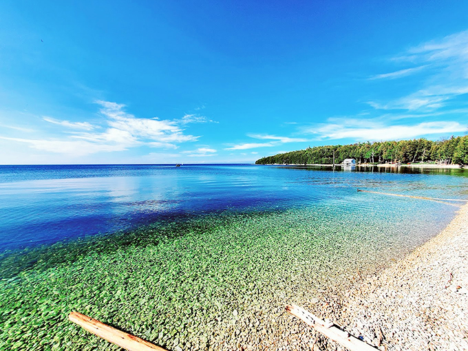 Limestone cliffs and turquoise waters: Wisconsin's answer to the Mediterranean, minus the passport stamp.